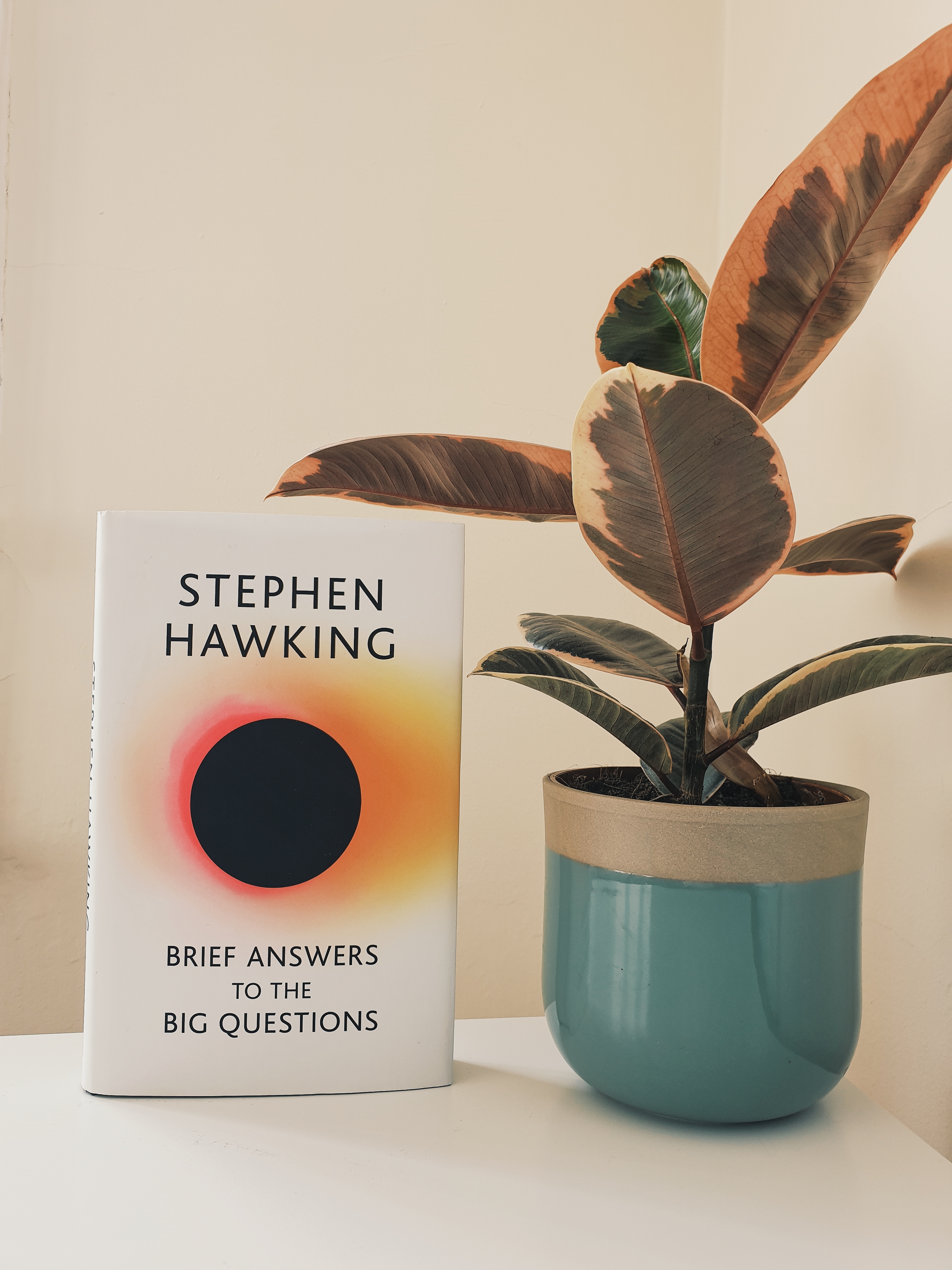 STEM Books – ‘Brief Answers to the Big Questions’ – 2 Sisters In STEM